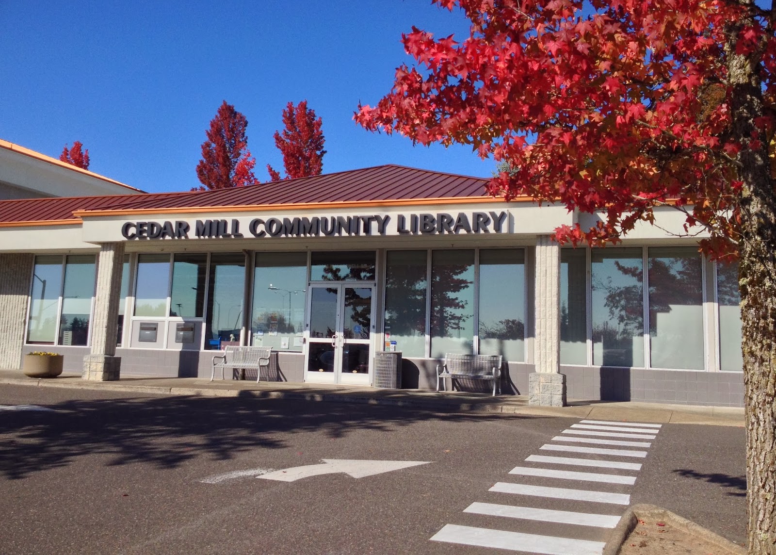 Was This Really a Sharp Idea?: Libraries and Parks