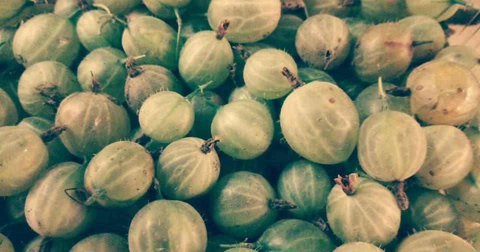 ORB IN LUMEA SURZILOR: Agrise