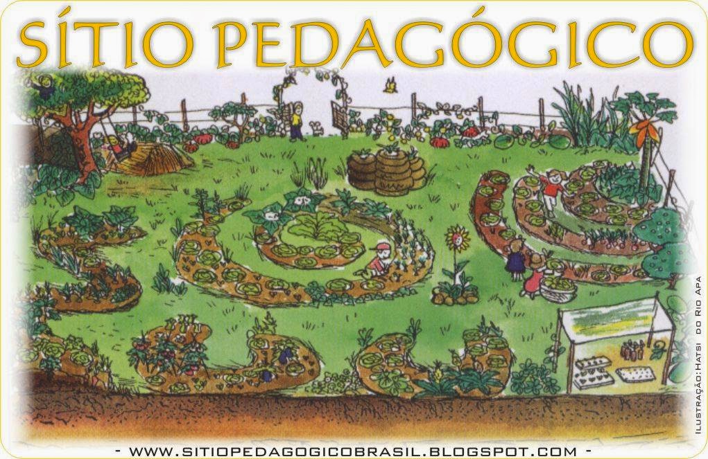 Eco Escola: Crescendo em círculos. A horta mandala