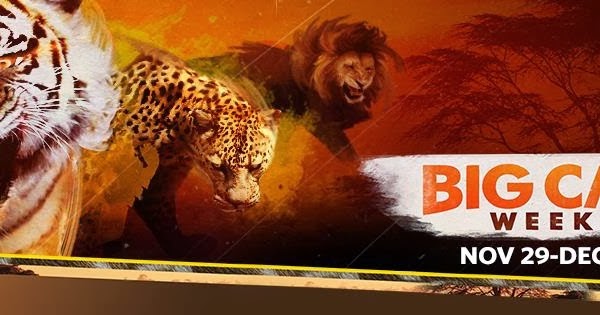 Life with Dylan: Big Cat Week on Nat Geo WILD is Back with a Roar!