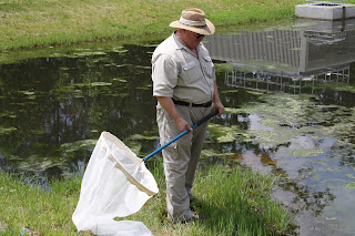 Campus Happenings: Richard Groover's dragonfly studies