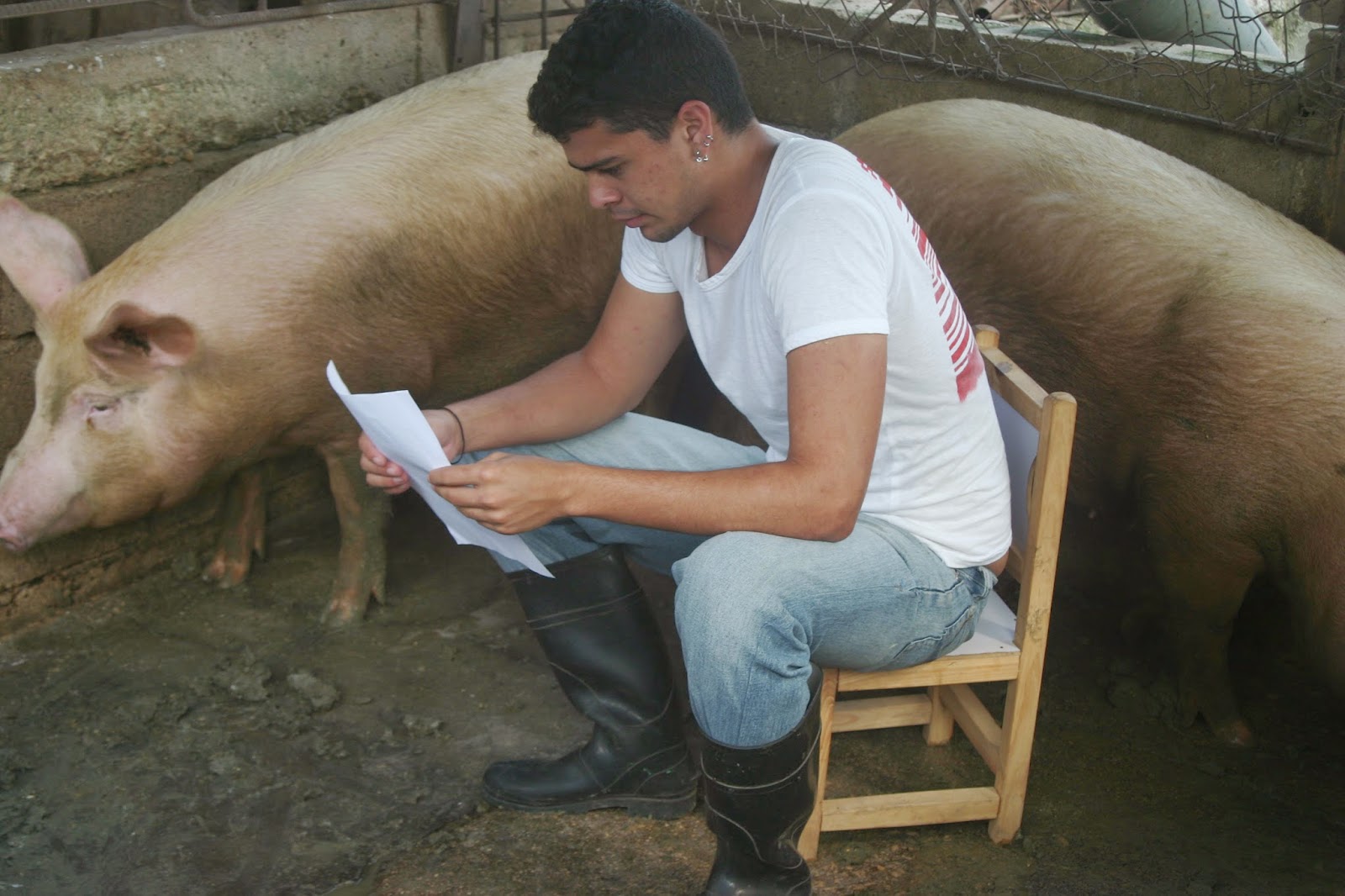 Yadier y Padrón: 6 ideas de prisa ante 6 acciones de Yadier González y ...