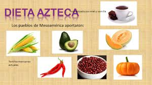 CATALINA CARDENAS 1003: AZTECAS Y MUISCAS