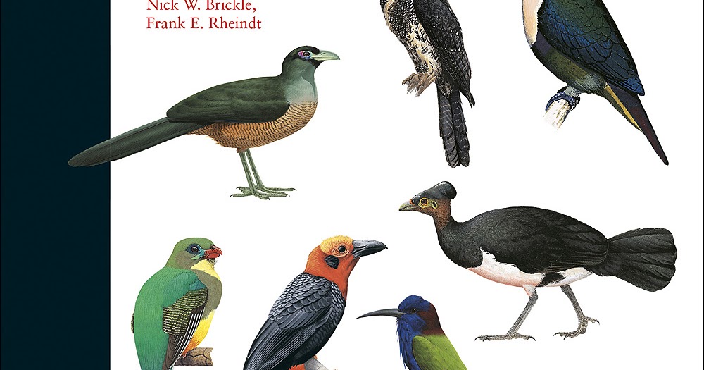 Probirder: BOOK REVIEW - BIRDS OF THE INDONESIAN ARCHIPELAGO: GREATER ...