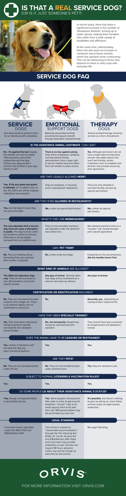 Are Service Dogs Allowed In Zoos