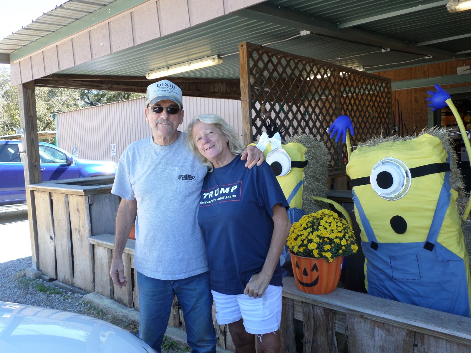 Happenings with Dom and Nan: 2016