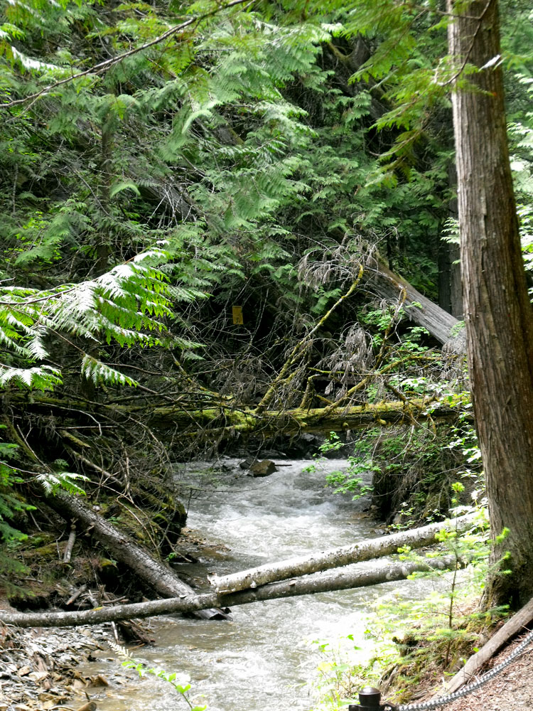 Okanagan Jen: Waterfalls of the Shuswap - Margaret Falls