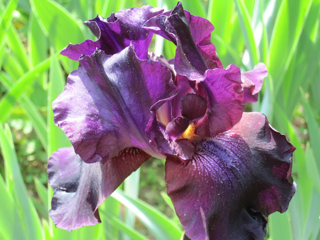 Walter Klingler & Stephen Boydstun : Sunday April 30, 2017 "Role Model ...