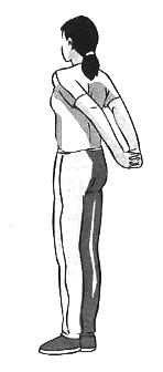 Pengertian Kebugaran Jasmani, Joging, Sejarah Joging, Otot - Otot ...