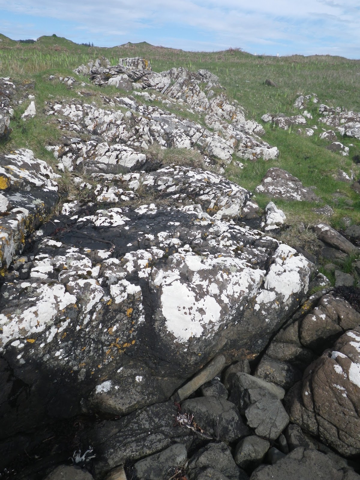 Rock Pooling: Rock pooling destination: Eilean Feoir, Eigg May 2013