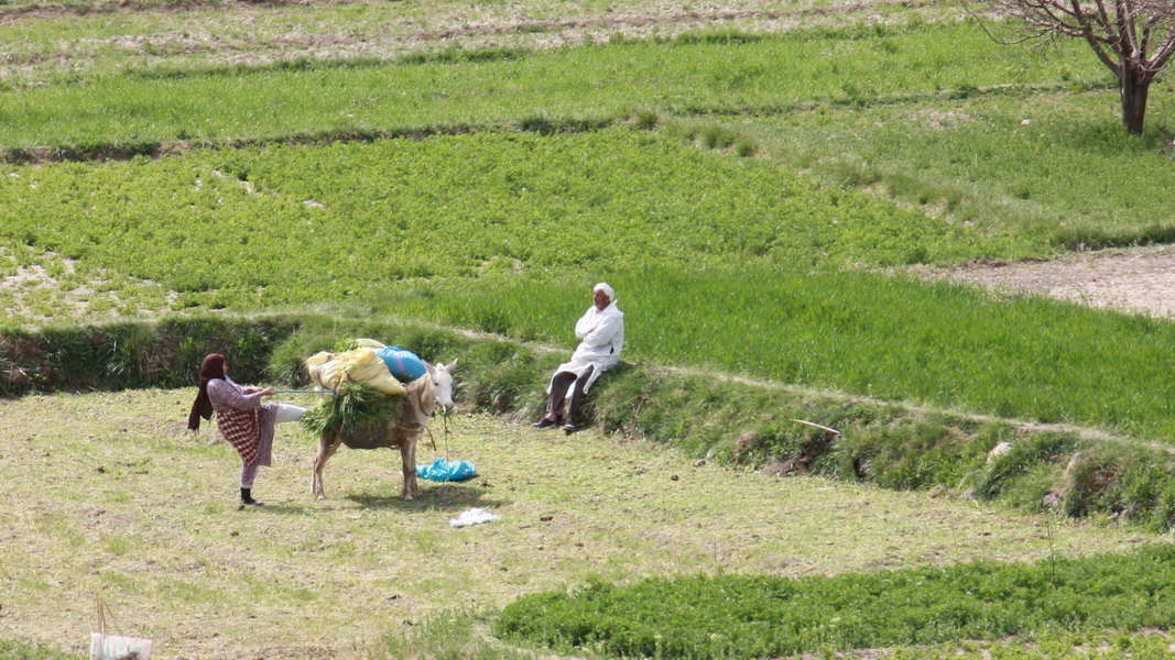 Notre tour du Maroc 2014: 22 mars - du Todra à Goulmima via Assoul