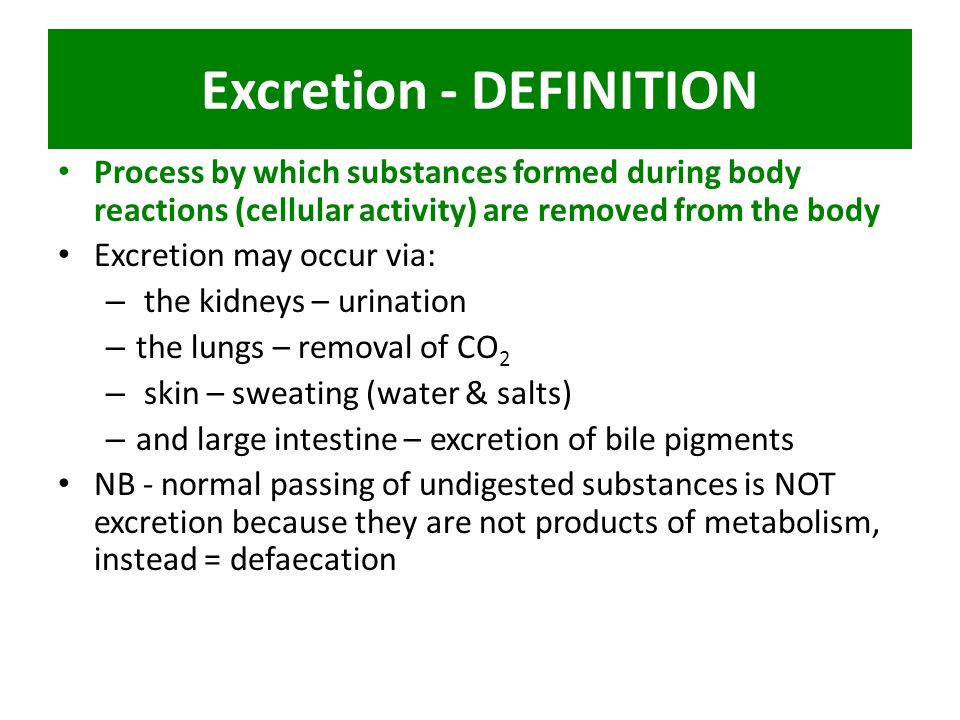 Grade 9: Sem 2 Chapter 13 Excretion
