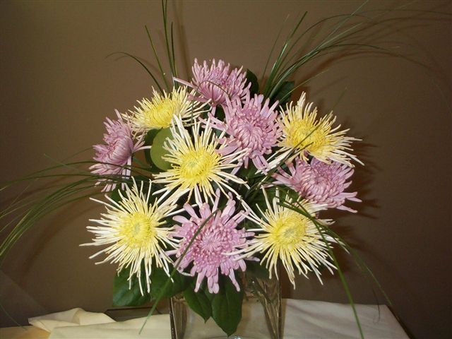 flowers for flower lovers.: Fuji mums flowers pictures , growing ...