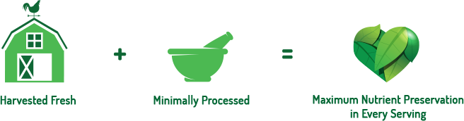 Pure Goodness Hemp Seed Protein ~ A Premium Superfood!