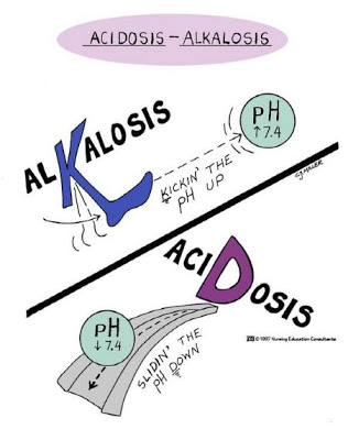 PENJELASAN PENYEBAB TERJADINYA ASIDOSIS DAN ALKALOSIS | Cafe Pendidikan