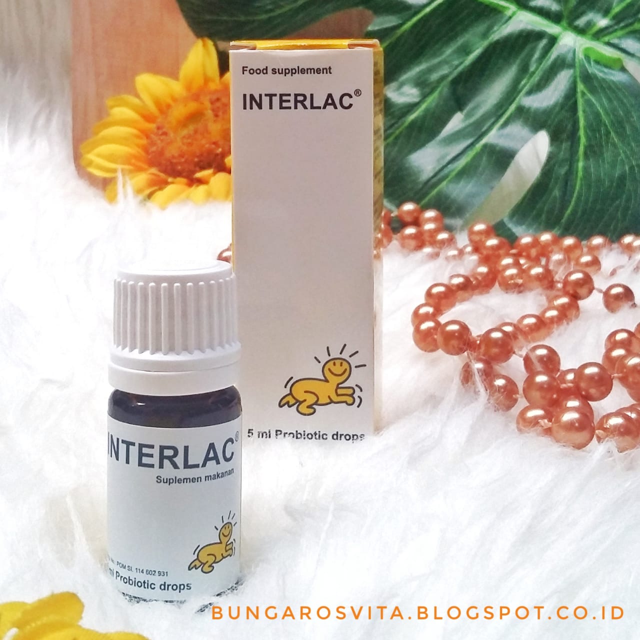 MEET INTERLAC PROBIOTICS, SAHABAT SALURAN CERNA KELUARGA