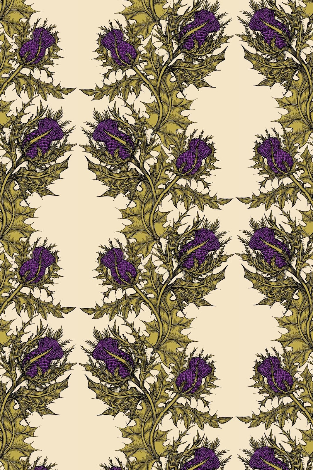 Fiorito Interior Design: Wallpaper: Timorous Beasties
