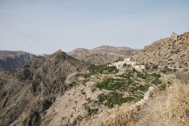 Enfleurage: Omani Roses