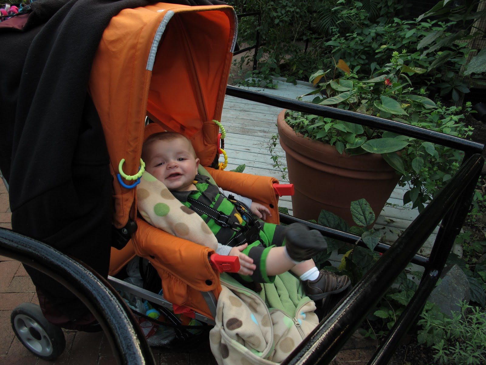 Ashley, Grant, Kendra, Elliot, Paxton, Bridget, Seth: January 2012