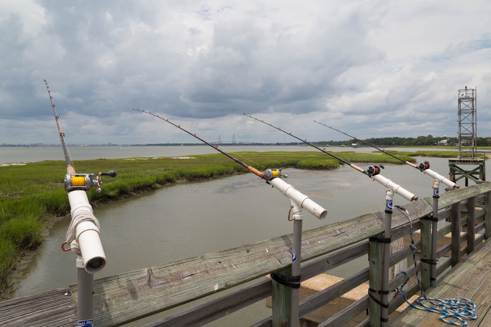 Charleston Daily Photo: Pitt Street Bridge