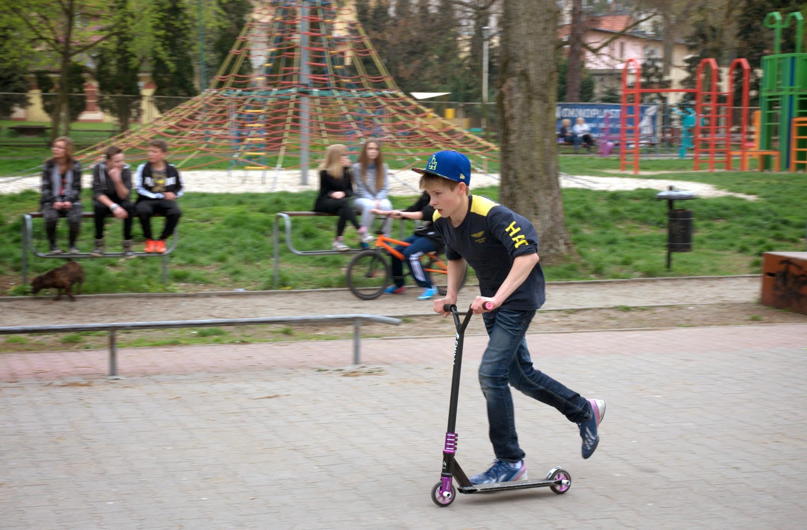świat według hulajnogi