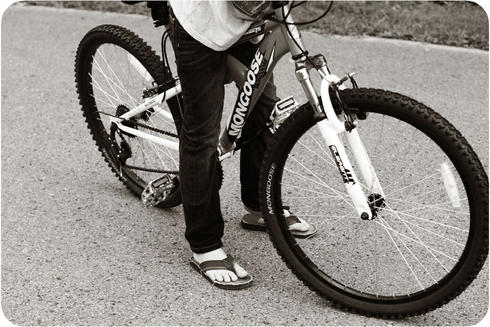 Lindsay Renee Photography