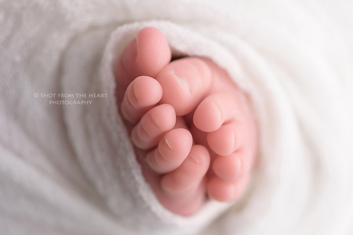 Shot From the Heart Photography: Baby Rylee | Canton Ga Newborn Photography
