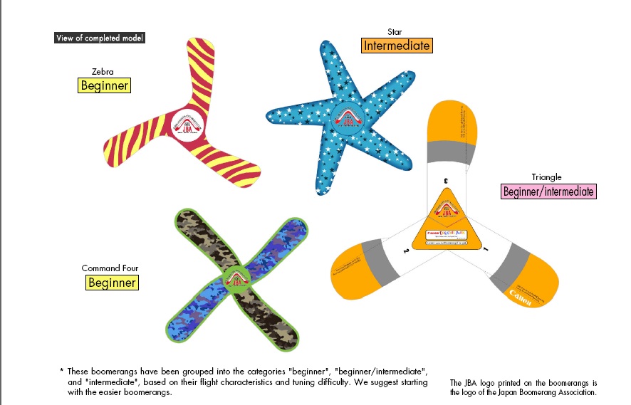 model aircraft: Boomerang plans Pattern
