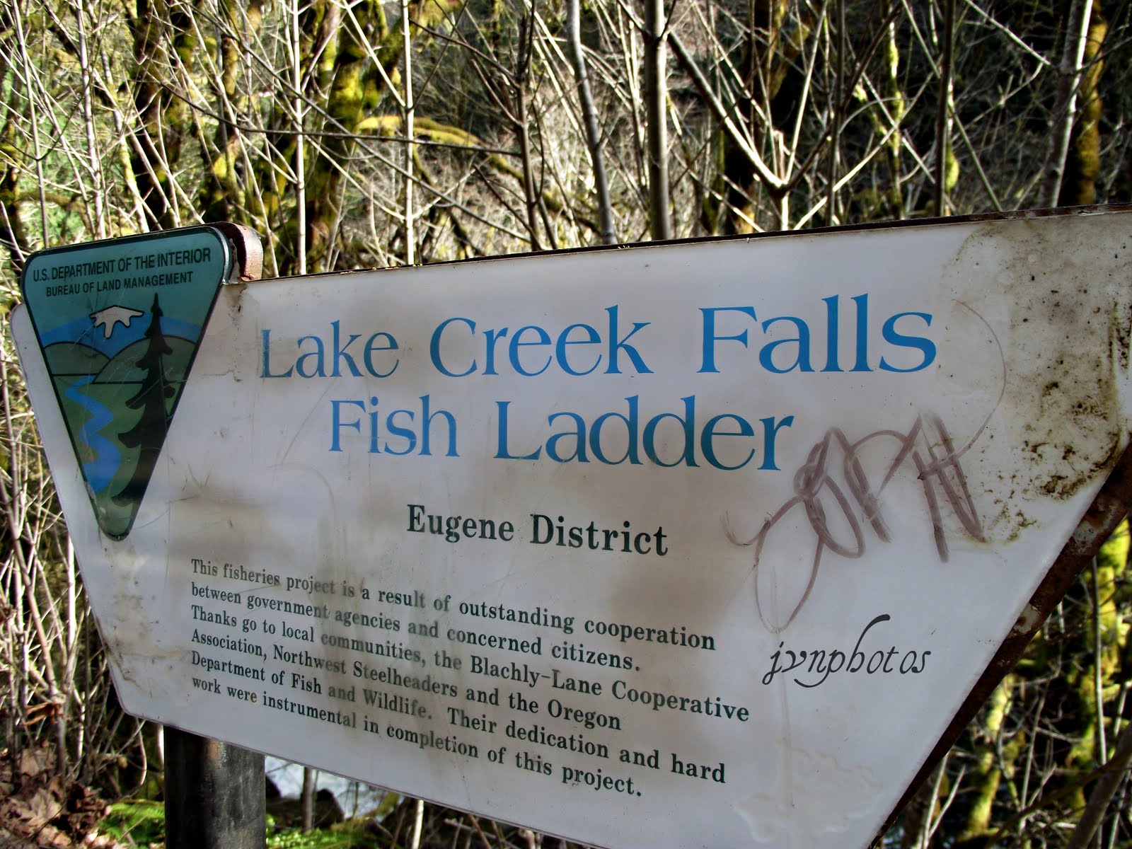 Photos by Jan: Triangle Lake, Oregon and Further Adventures