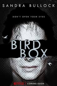 CINEPHAGEMANIAC: *11.40 - MON AVIS SUR BIRD BOX DE SUZANNE BIER