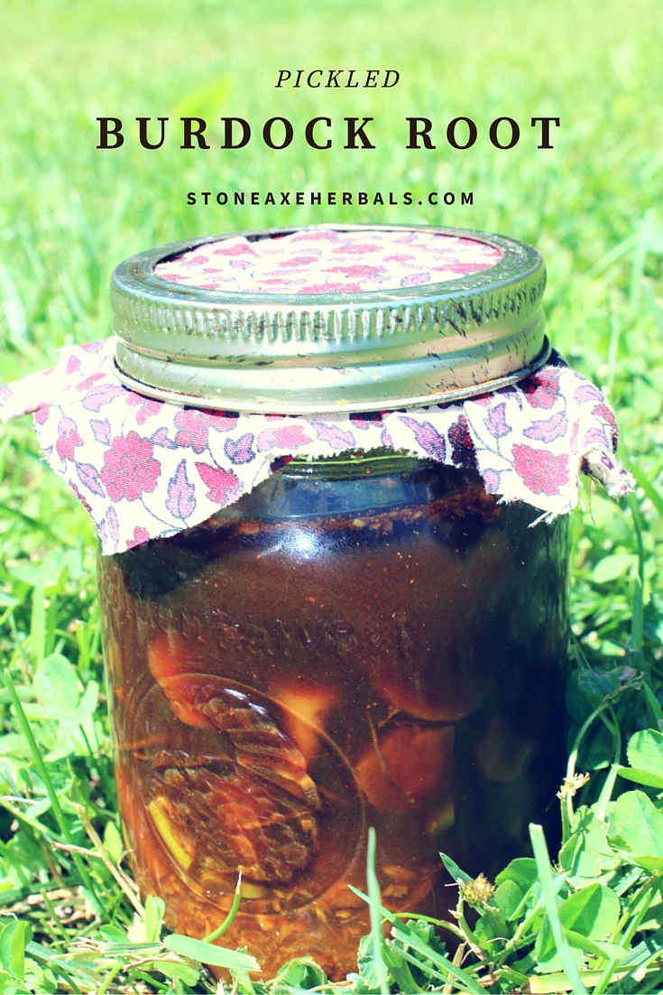 Pickled Burdock Root