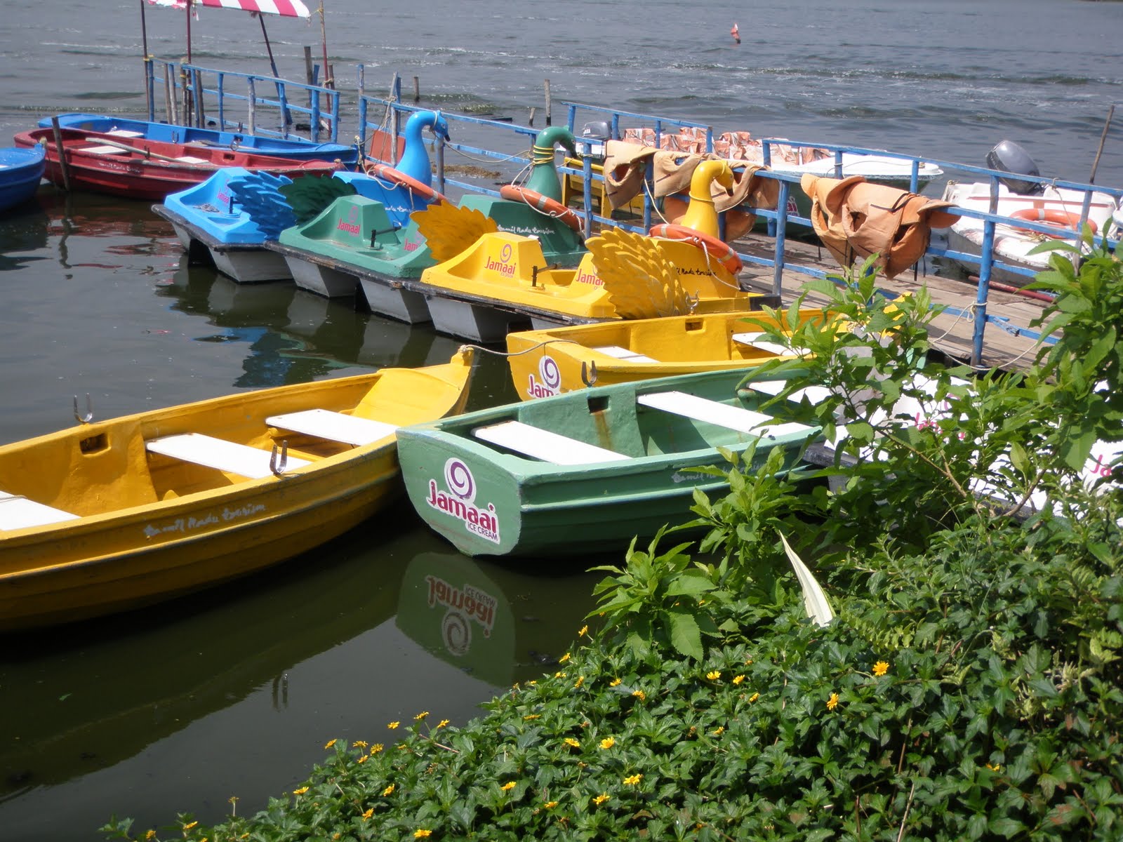 Tamilnadu Tourism: Muttukadu boat house