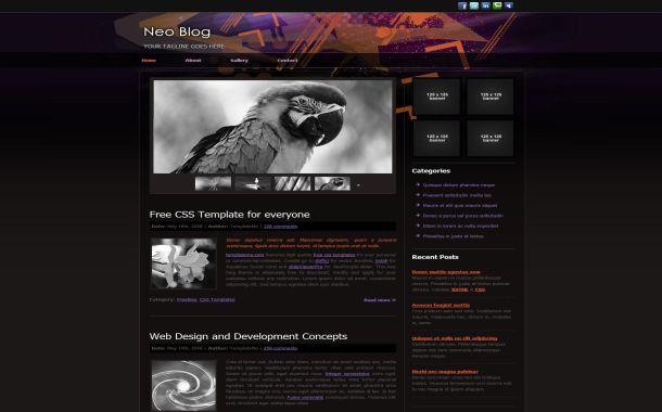 Free Abstract Black Violet CSS Website Template