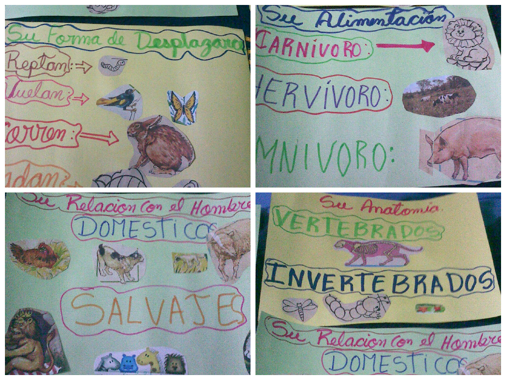 Mi Pequeño Mundo : Proyecto: Los Animales