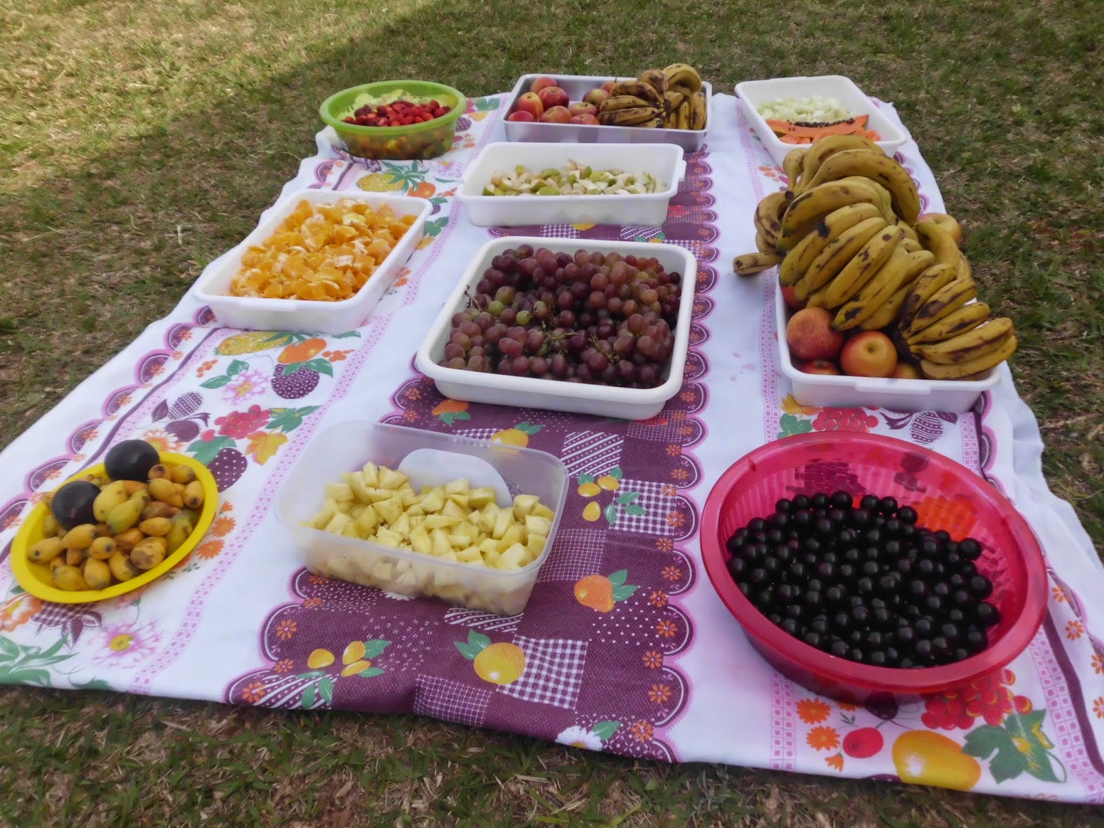 CEMEI MENINO JESUS: Piquenique de Frutas