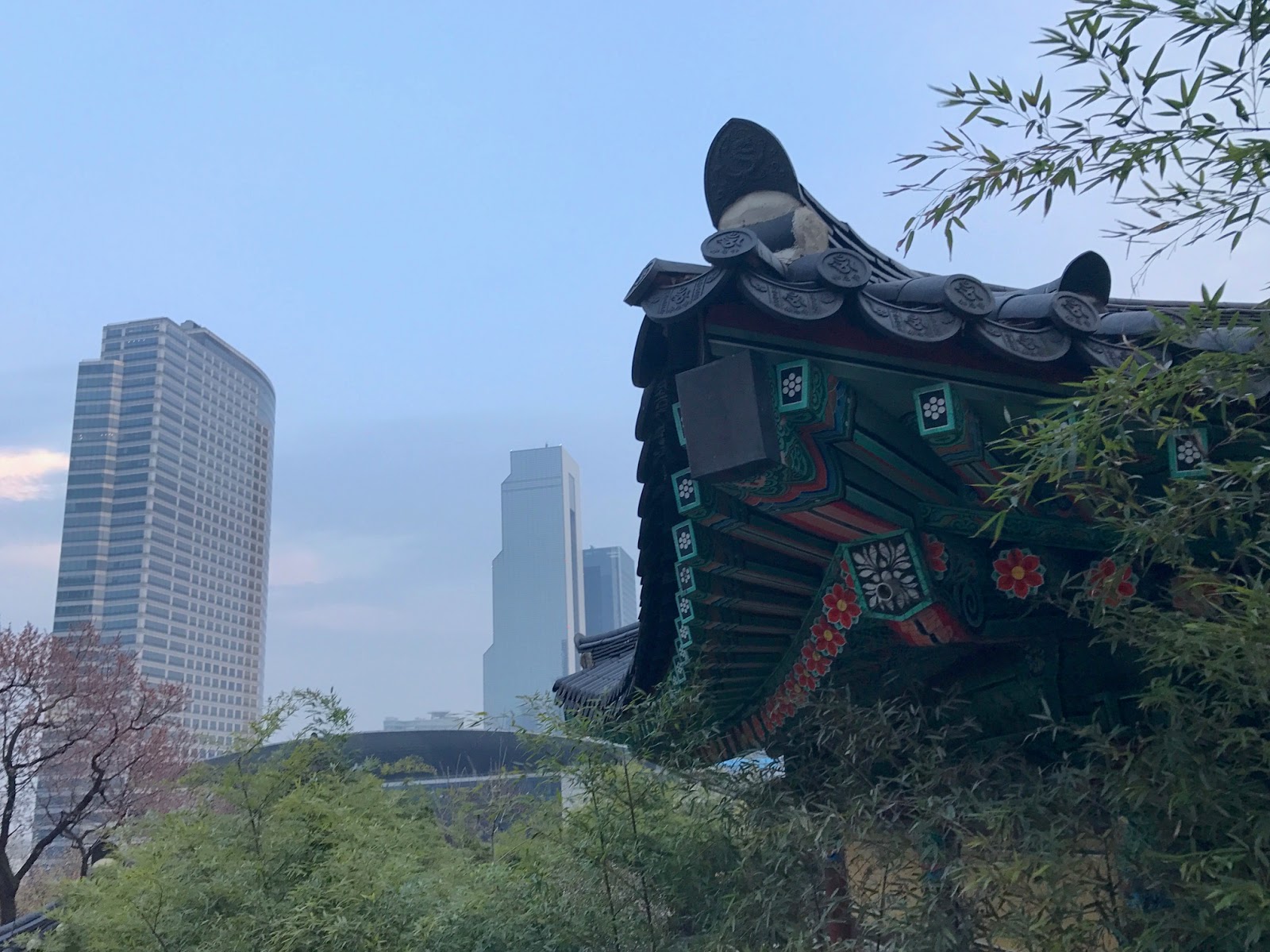 [Seoul - Coex] Cherry Blossom Tour at Bongeunsa Temple