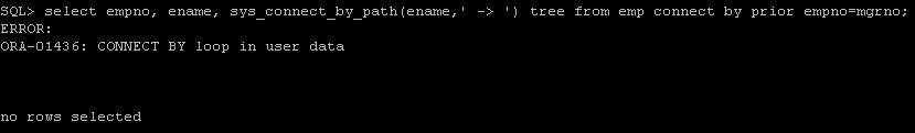 ORA-01436: CONNECT BY loop in user data - Oracle Database