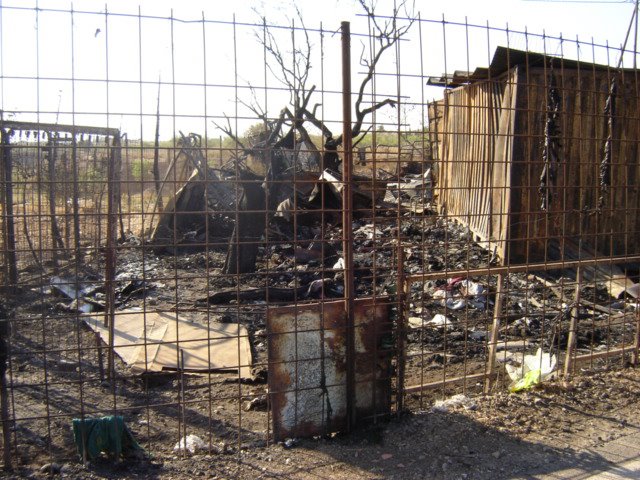 NOBLE GALGO: TRAGEDIA EN LOS MOLINOS MARFAGONES ANIMALES CALCINADOS Y ...