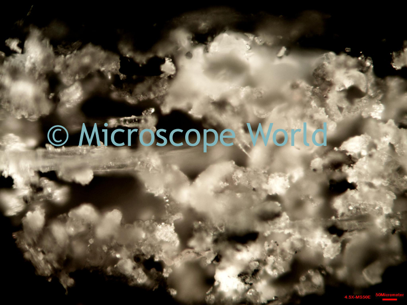 Microscope World Blog: Adhesive Edges