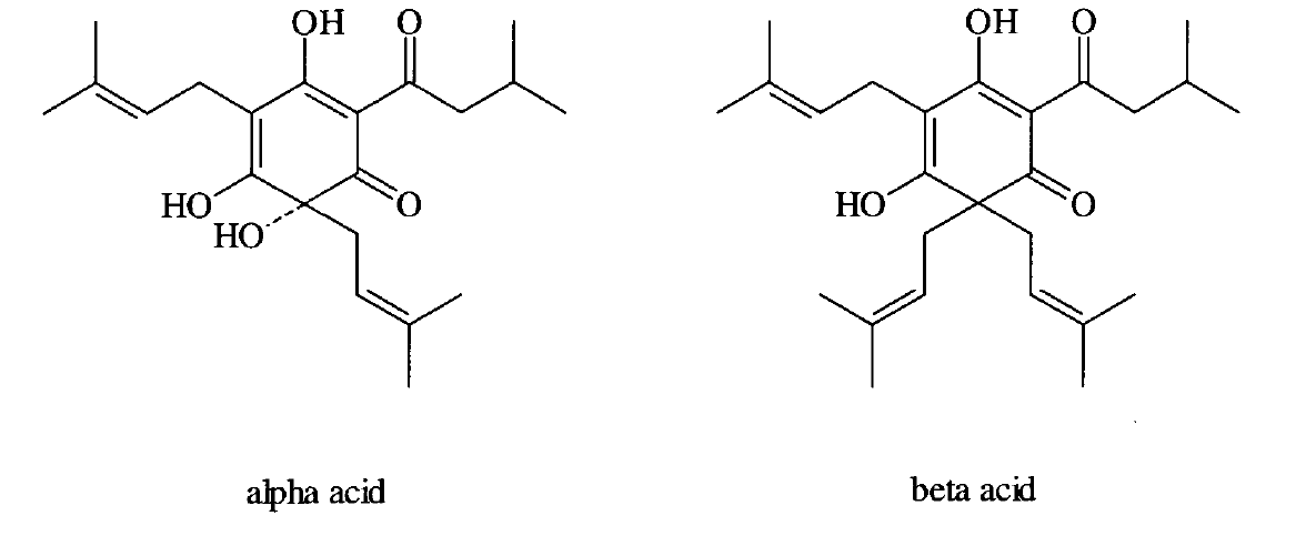Biological Brewing: IPA: Myth or Microbiology