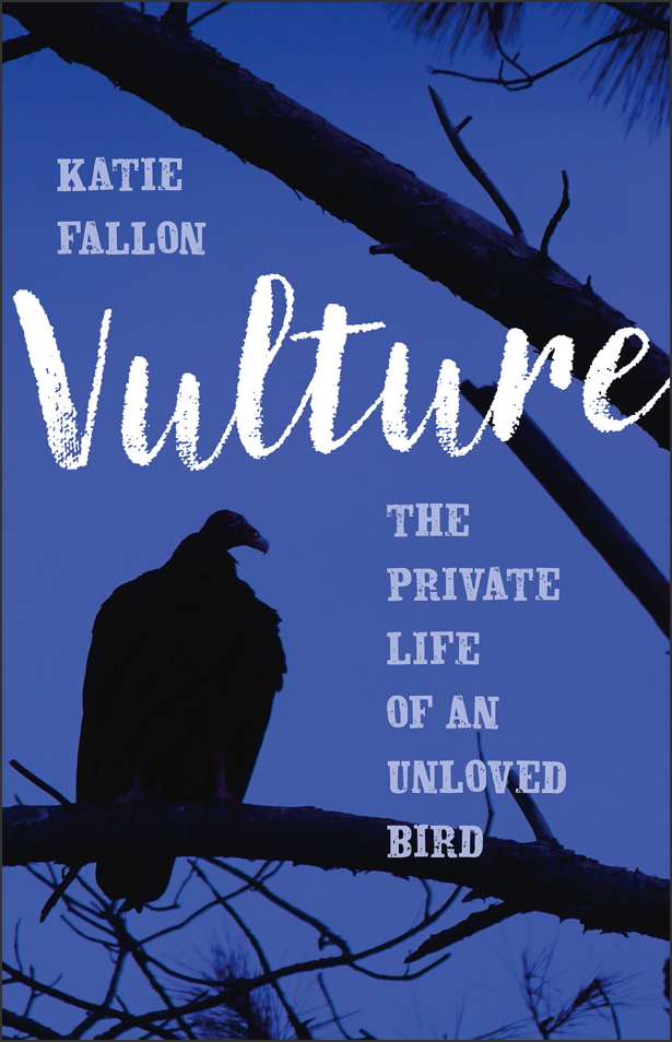 Sense of Misplaced: Book Review: Vulture