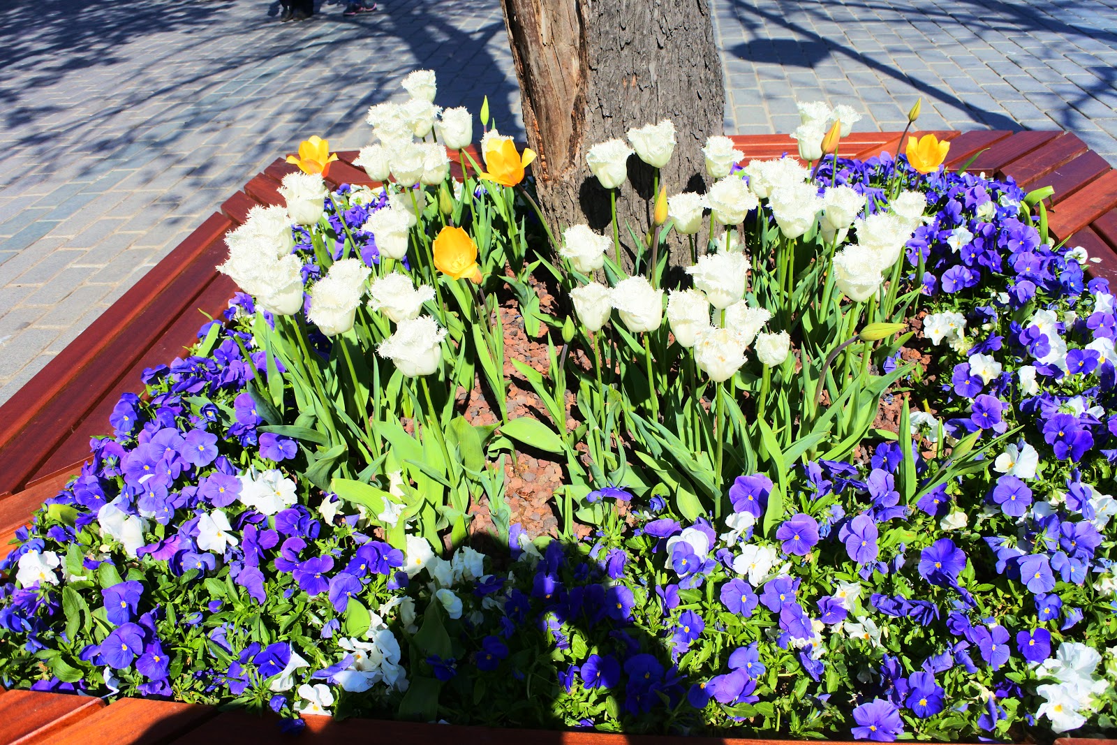 Jalan - jalan Turki 2016: Musim bunga di Istanbul ~ Alhamdulilah...di ...