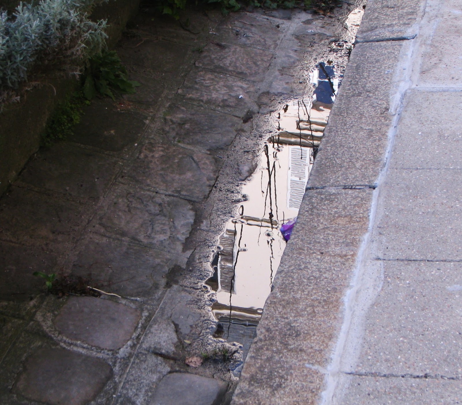 LARENCORE: PUDDLE IN THE GUTTER, photos by Patricia LARANCO.