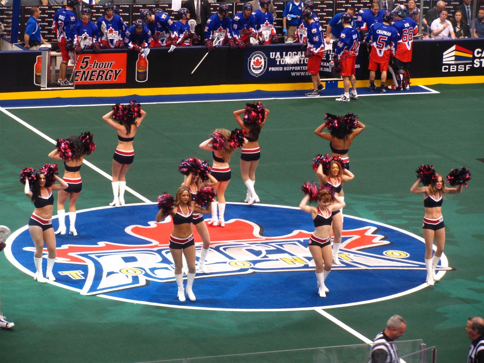The World of Gord: Minnesota Swarm Cancels Rocks Party
