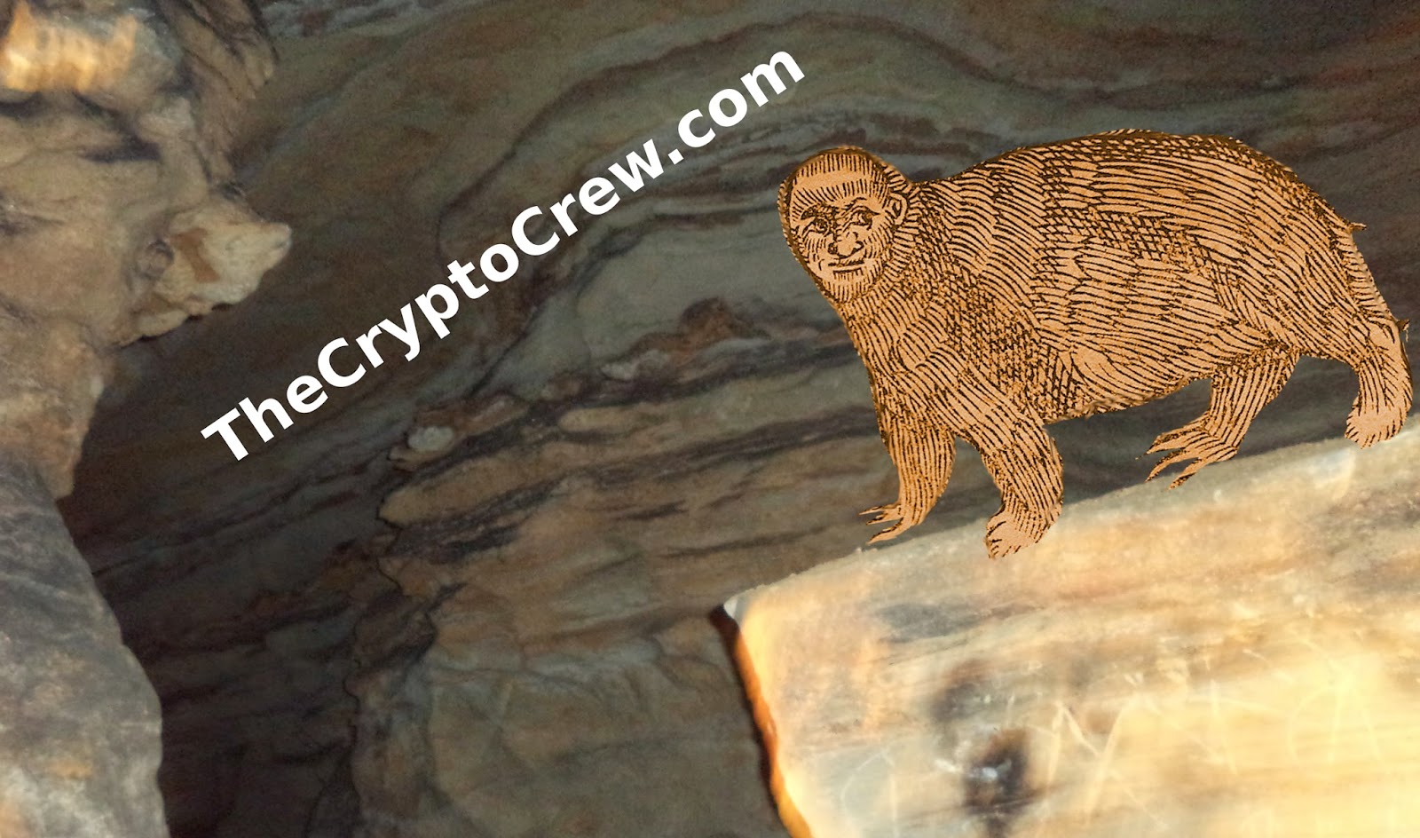 Unknown Cave Creature in Tennessee ~ The Crypto Crew