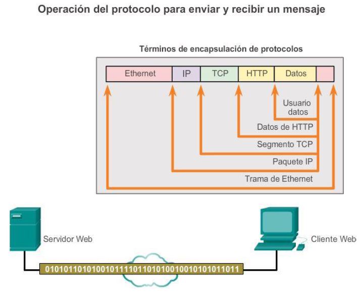 Ingeniería Systems: Creación de Internet y desarrollo de TCP/IP - Suite ...