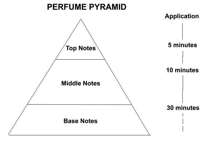 Perfume Notes