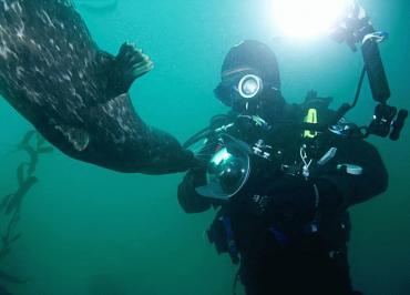 Scuba Diving Blog by Neutral Dive Gear: Scuba Diving with Sea Lions in ...