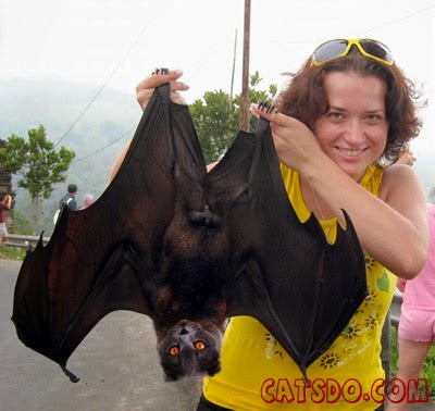 STRANGE FACTS WORLD WIDE (SHOCKING & PARANORMAL ACTIVITIES): STRANGE ...