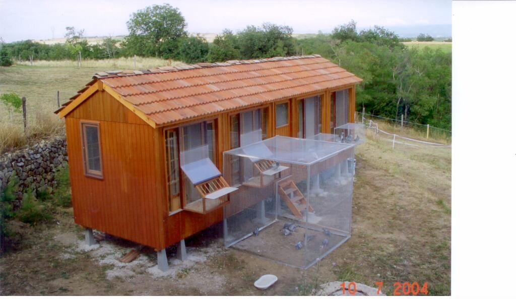 Elevage de pigeons voyageurs pour le grand fond des meilleures origines ...